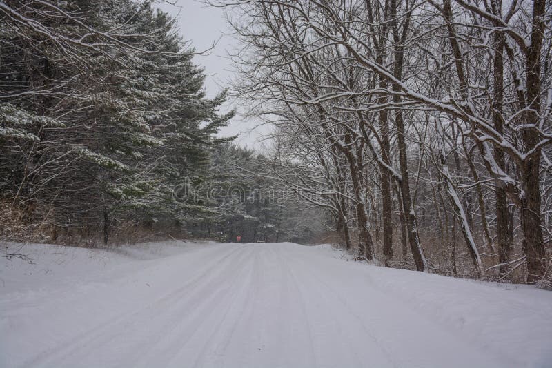 A Road on a Snowy Winter Afternoon Stock Image - Image of road, trees ...