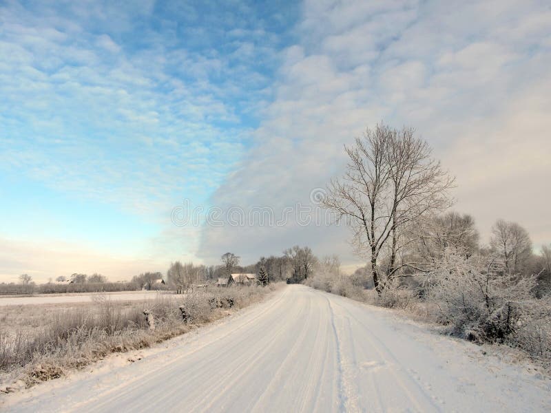 Road and Snowy Winter Trees Stock Image - Image of nature, view: 88769359
