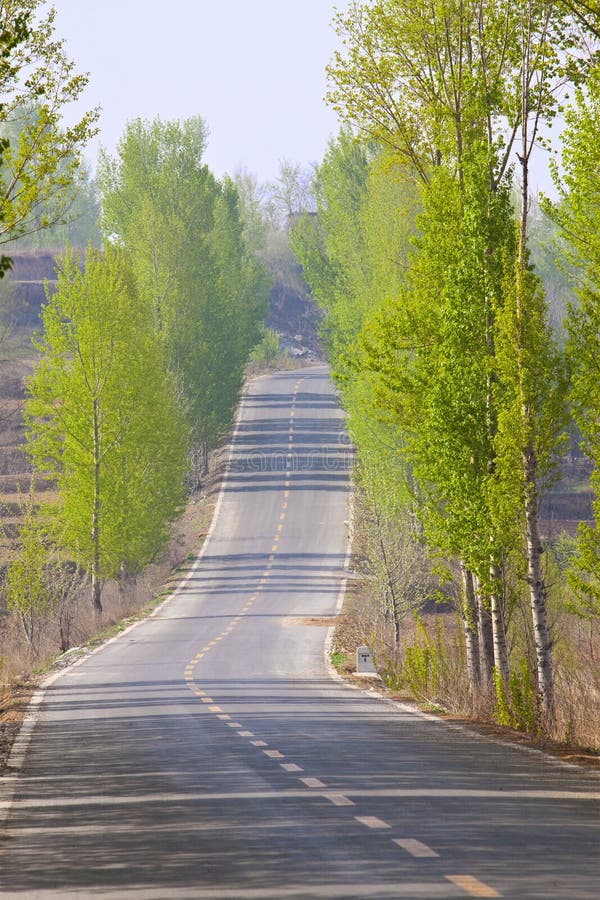 Road in spring stock photo. Image of countryside, lane - 14108592