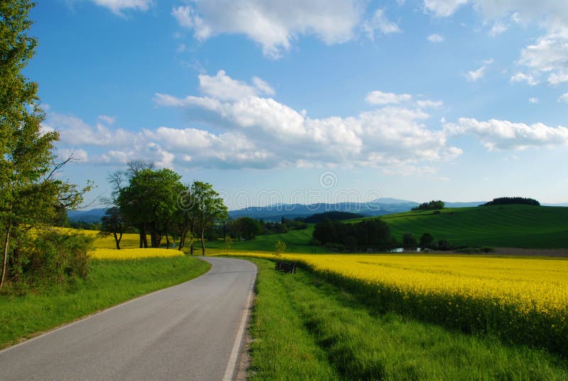 Road in the Spring stock image. Image of blossom, floral - 29047547