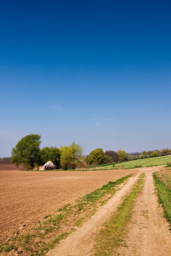 Road through the Spring/summer Countryside Stock Image - Image of tree ...