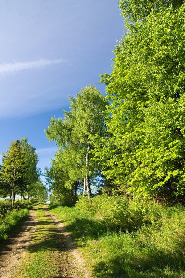 Road through the Spring Countryside Stock Image - Image of colorful ...