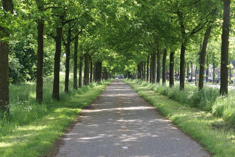 Road in the spring stock image. Image of shadow, almelo - 40638081