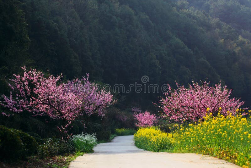 Road stock image. Image of beauteous, water, cole, full - 39885053