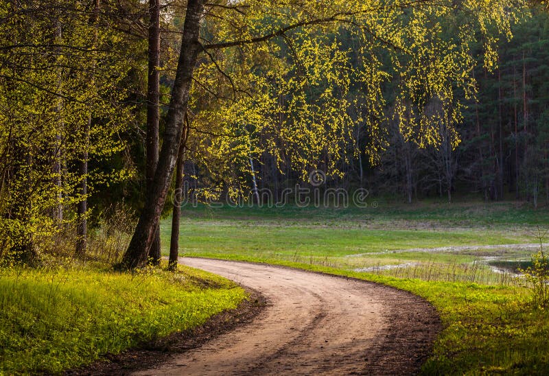 55,735 Road Sunny Spring Forest Stock Photos - Free & Royalty-Free ...