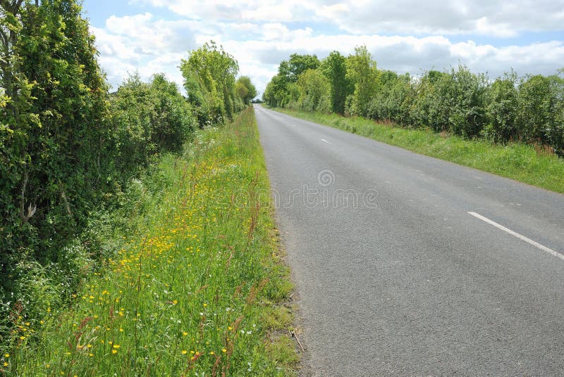 Road at spring stock image. Image of woodland, tree, transport - 48223259