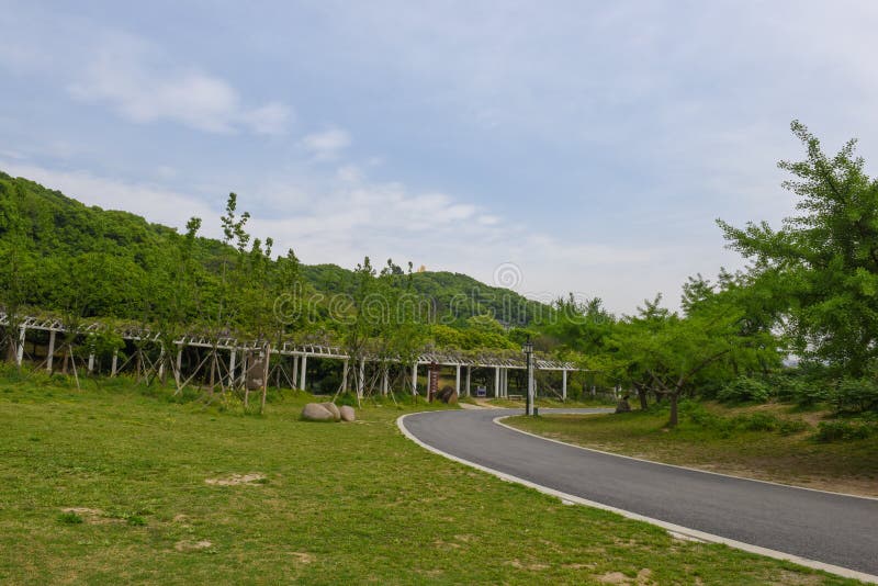 Road and spring. stock image. Image of bucolic, leaves - 92520315