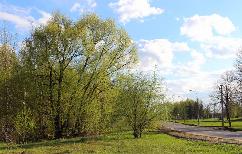 Road in spring landscape stock photo. Image of grass - 152345012