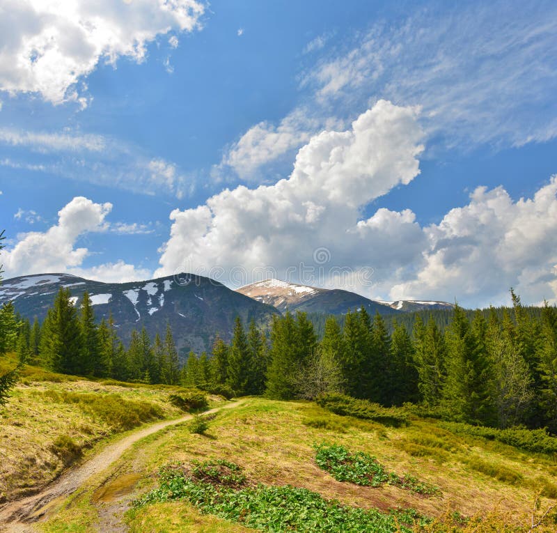 Road in spring mountains stock image. Image of forest - 55657391