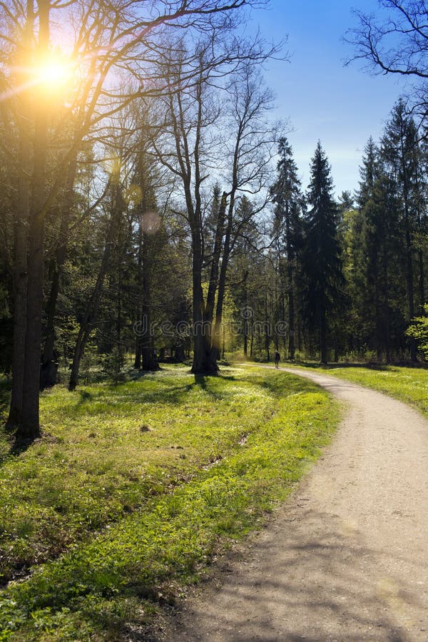 The Road in the Spring Park Stock Photo - Image of seasons, cloud ...