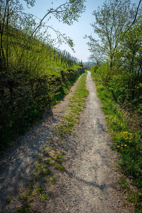 Road in Springtime in a Countryside Stock Photo - Image of beautiful ...