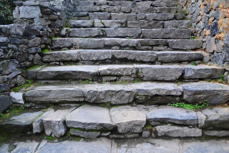 Forest Steps stock photo. Image of woods, fall, path, forest - 33480
