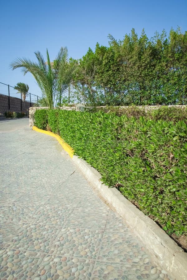 Road Steps To the Sea in Nature in the Park Stock Image - Image of ...