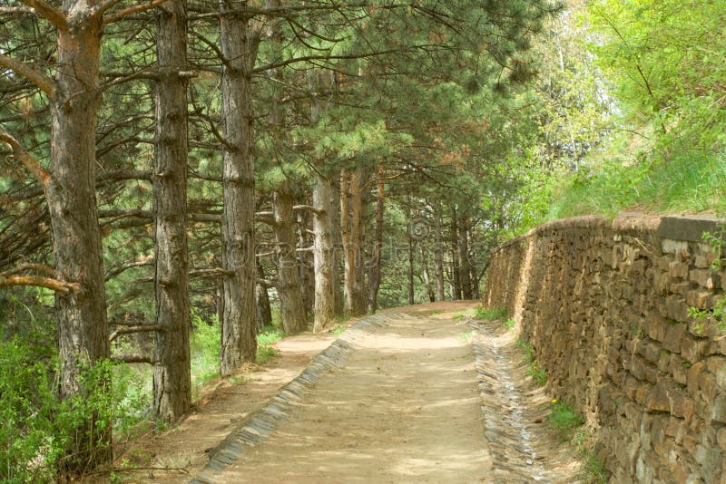 The road of stone stock photo. Image of footpath, morning - 5080472