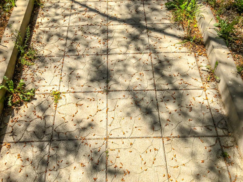 The Road is a Stone Path Goes into the Courtyard of a Residential ...