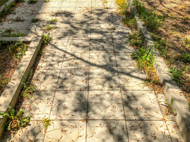 Road Stone Path Goes Courtyard Residential Building Stock Photos - Free ...