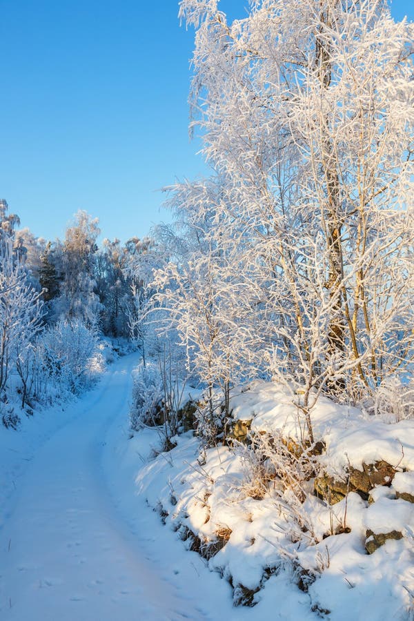 Road Stone Wall Animal Tracks Snow Stock Photos - Free & Royalty-Free ...