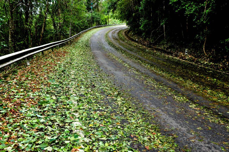 Road after Storm with Halistone Stock Image - Image of small, hailstone ...