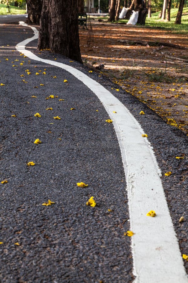 Road Street or Asphalt Texture with Curve Lines Stock Image - Image of ...