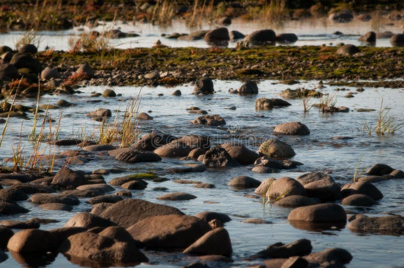 Road Submerged in Water after Flood, Rural Environment Stock Photo ...