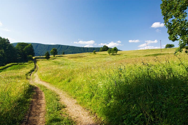 Road through the Summer Countryside Stock Image - Image of grass, drive ...