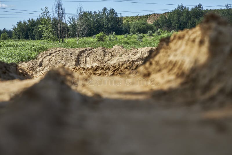 968 Grass Ground Level Level View Stock Photos - Free & Royalty-Free ...