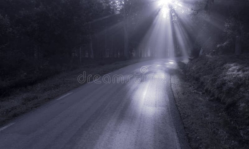Road stock image. Image of track, light, mood, outdoor - 59718245