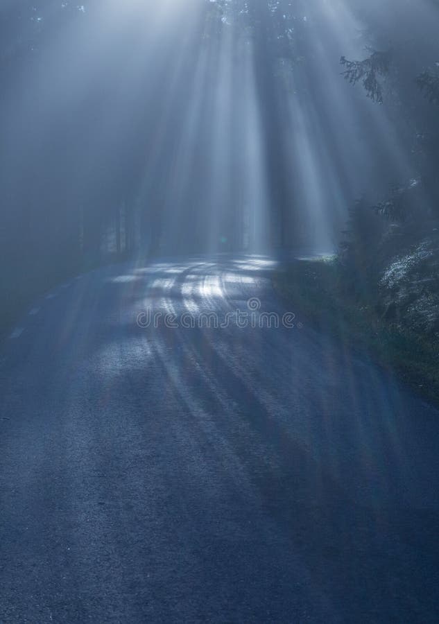 Road with sun rays stock image. Image of morning, atmosphere - 60725041