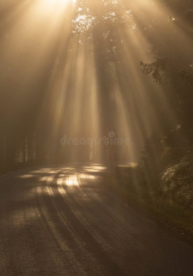 Road with sun rays stock image. Image of morning, atmosphere - 60725041