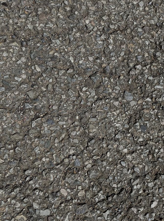 Road Surface in the Big Forest Stock Photo - Image of forest, grunge ...