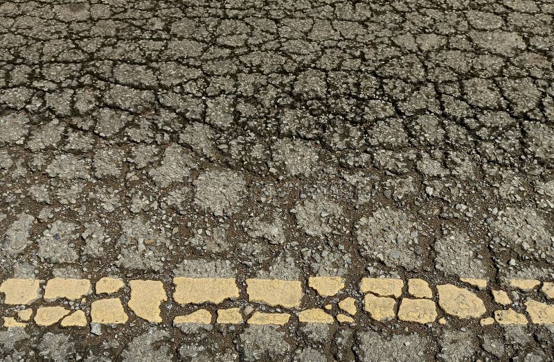 Road Surface in the Big Forest Stock Image - Image of pattern, closeup ...
