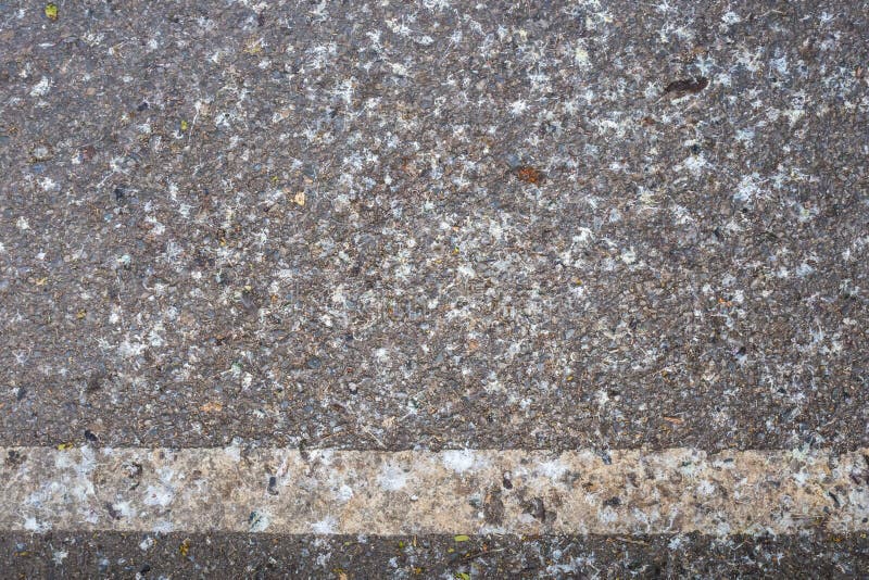 Road Surface with Bird Droppings Stock Image - Image of road, material ...
