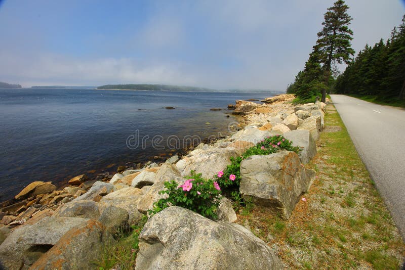 Road Surrounded by Rocks and the Sea Under a Blue Cloudy Sky at Daytime ...