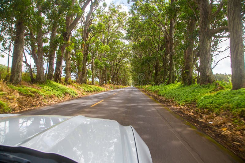 Road Surrounded by Trees Seen through the Front of a Car - Concept of ...