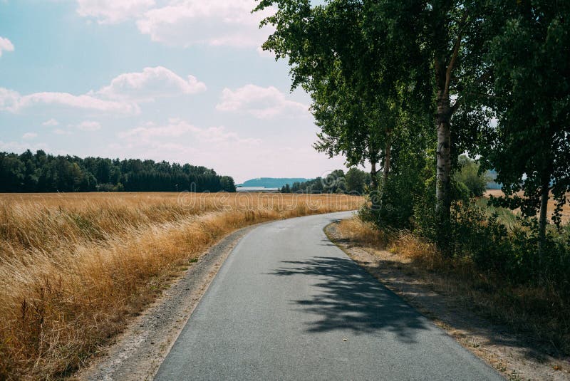 Road Surrounded by Yellow Lawn and Trees Stock Image - Image of ...