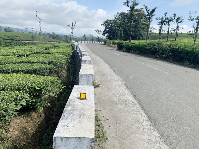 Road through a Tea Plantation Stock Photo - Image of asphalt, road ...