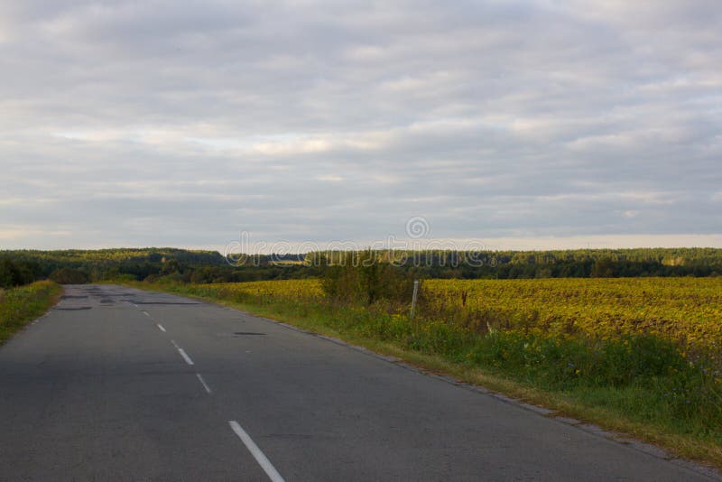 Road Texture. Asphalt Way with White Line in the Middle. Sunset Stock ...