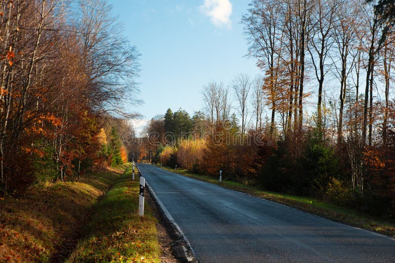 Road Throug Forest in Autumn, Colorful Foliage on the Tree, Path ...