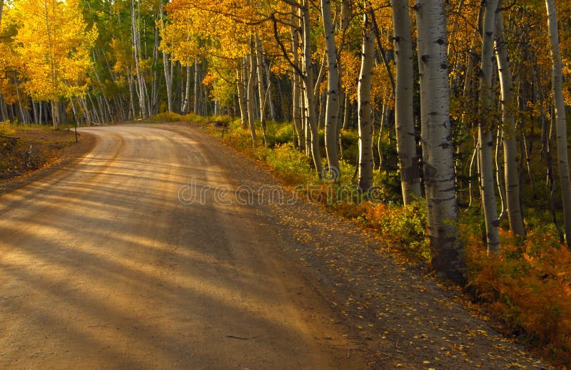 Country Dirt Road Picture. Image: 696914