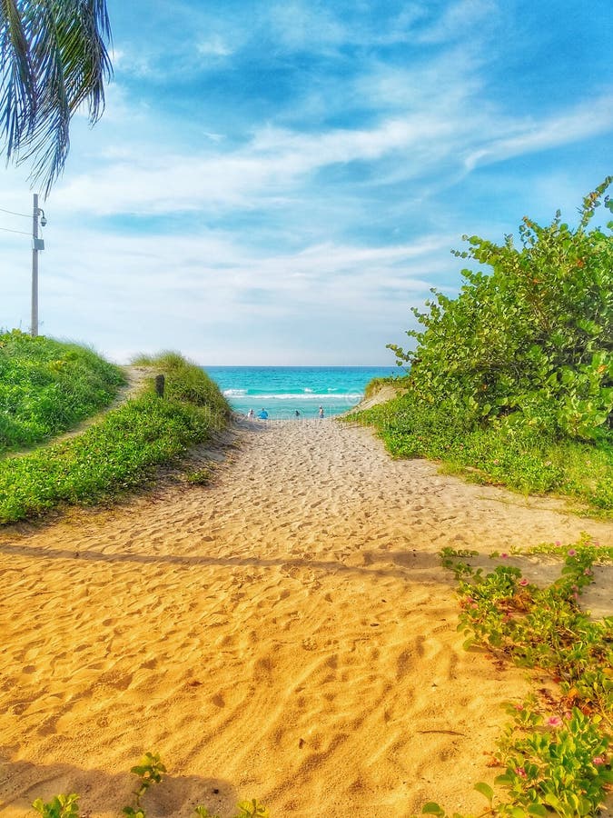 Road to the beach stock image. Image of summer, beach - 173153523