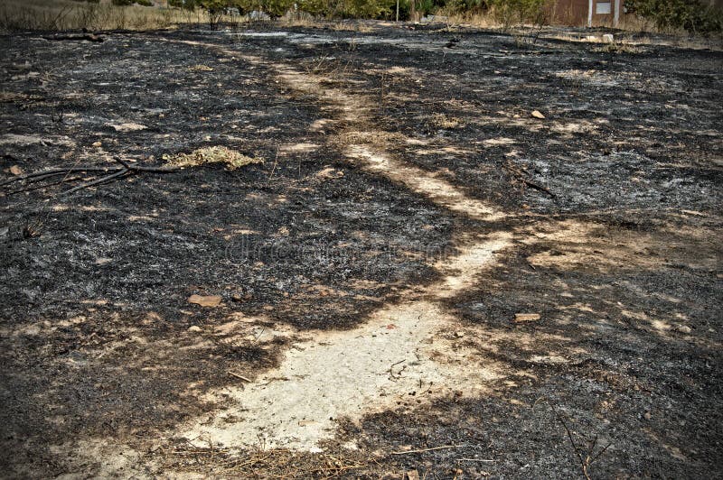 Road to burn stock photo. Image of burn, wood, nature - 59462574