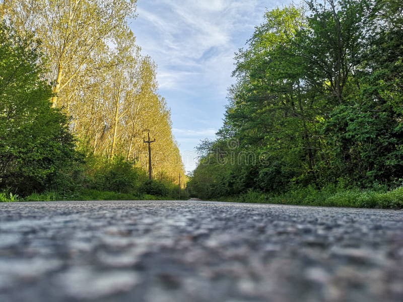 Road to calming state stock image. Image of woodland - 217758835