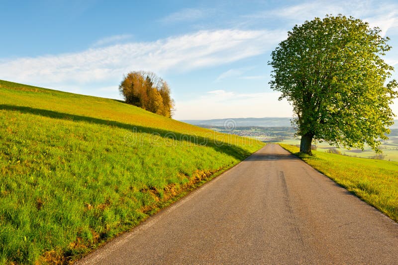 Road to City stock photo. Image of cultivation, pasture - 26197958