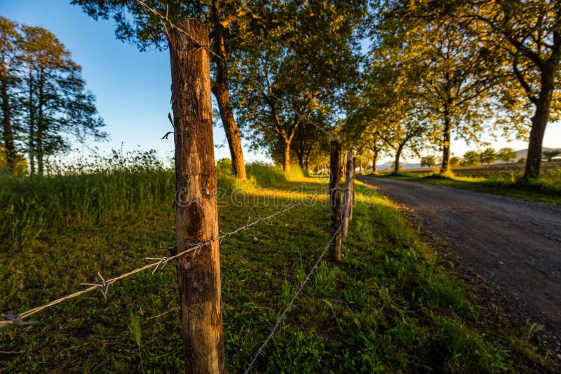 Road to the farm stock photo. Image of nature, grape - 182794392