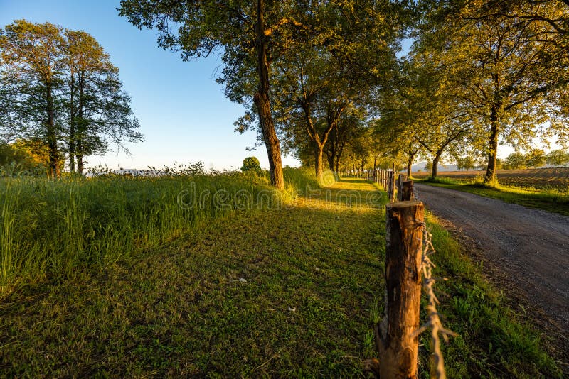 Road to the farm stock image. Image of landscape, grape - 182795815