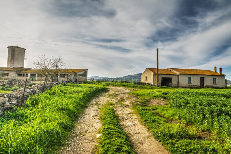Road to the farmhouse stock photo. Image of farm, barn - 67921128