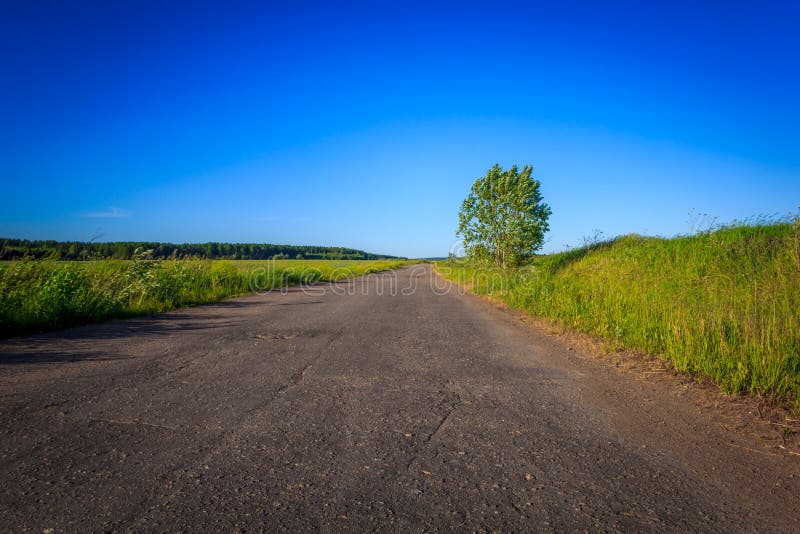 The Road To the Field. Russian Open Spaces Stock Image - Image of road ...