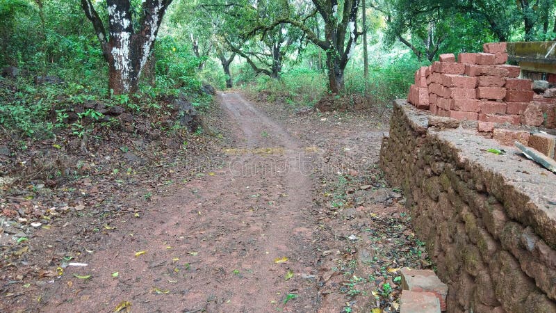 A road to forest stock image. Image of bricks, road - 150573199
