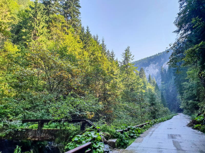 Road to the gorge stock image. Image of last, great - 127931649