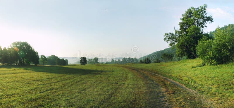 The Road To a Green Open Field with Bushes Stock Photo - Image of ...